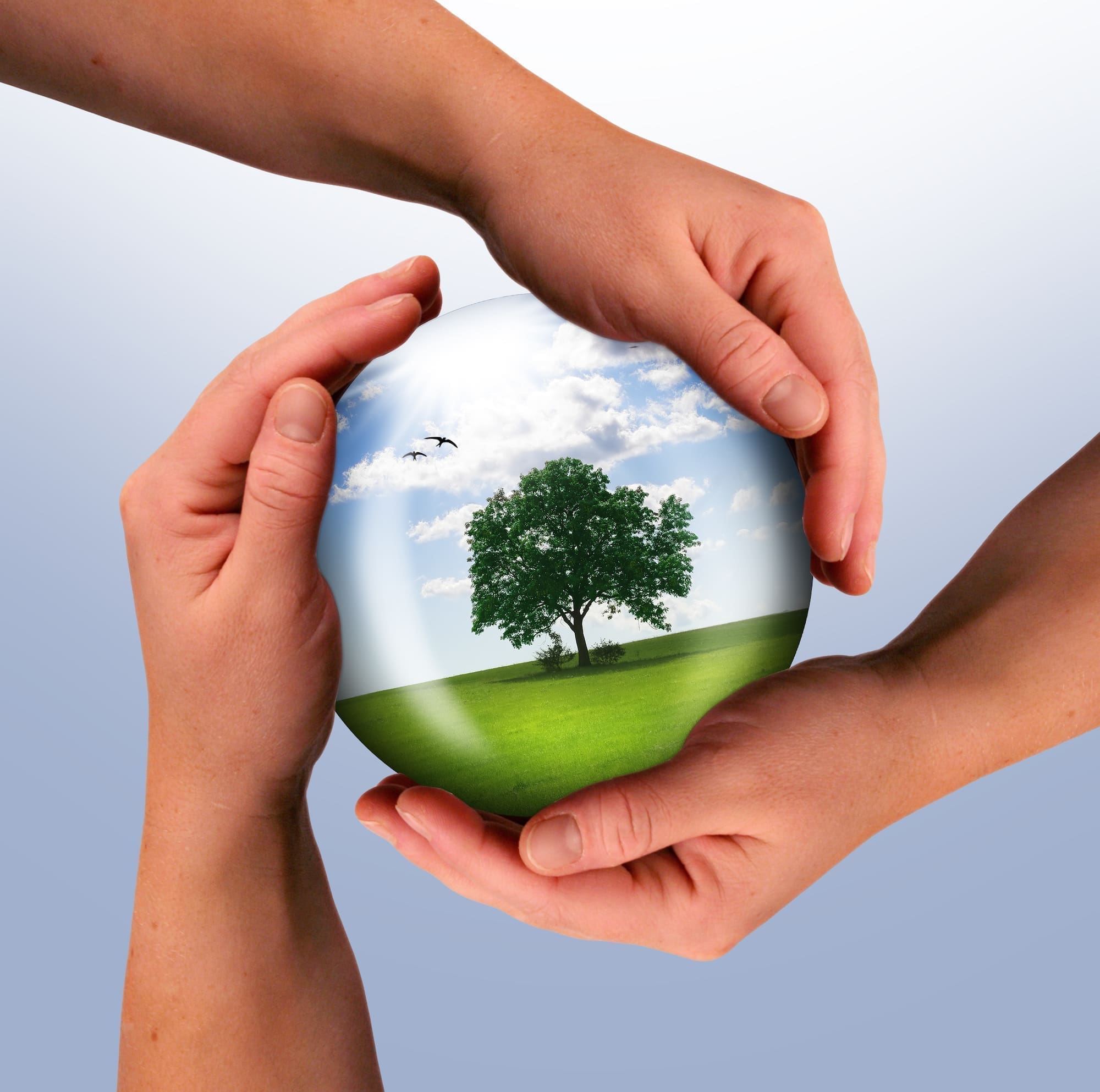 Le Biodynamizer - Biodynamizer