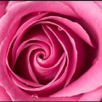 De vortex - Biodynamizer