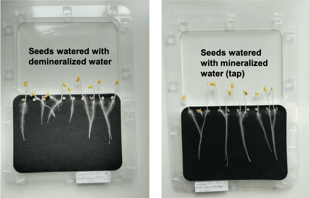 Osmosis water - Biodynamizer