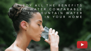 The Biodynamizer - Biodynamizer