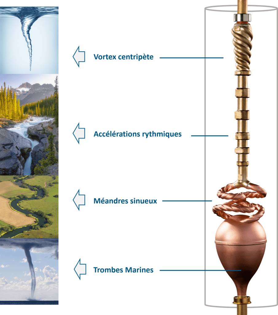 Les mouvements - Biodynamizer