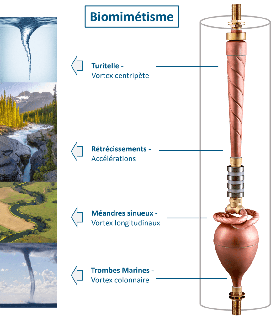 Les mouvements - Biodynamizer